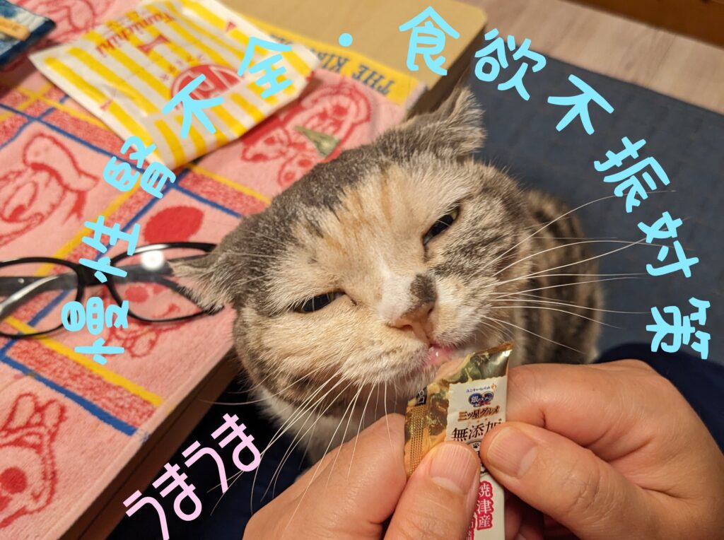 慢性腎不全の猫・おこわ 食欲不振対策で心がける3つのこと | にゃん姫たちのお城日記
